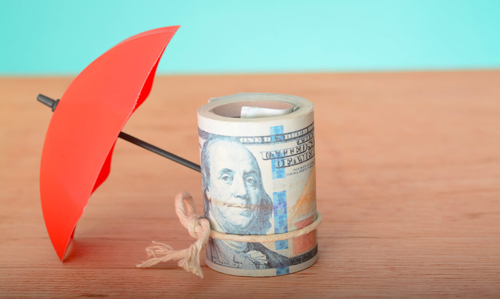 Assets protection planning - Schwartsman Law Group PLLC